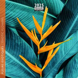 Calendrier mensuel 16x16 cm - 16 mois - Fleurs exotiques Pas Cher ...