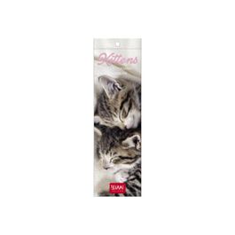 Legami - Calendrier marque-pages - 5,5 x 18 cm - 2024 - chatons Pas ...