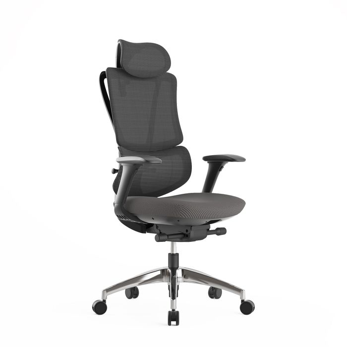Fauteuil de bureau EGOSTAR Ultra - accoudoirs réglables - Appui-tête ...