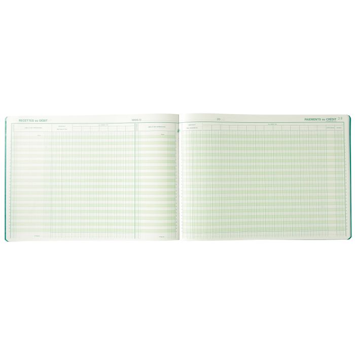 Exacompta - Journal de caisse ou banque - 22 colonnes : 15 débits/7 ...