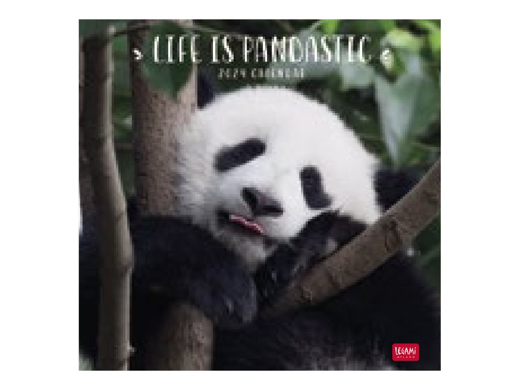 Goedkoop LEGAMI Photo Collection - kalender - 2024 - life is pandastic - 300 x 290 mm | Bureau ...