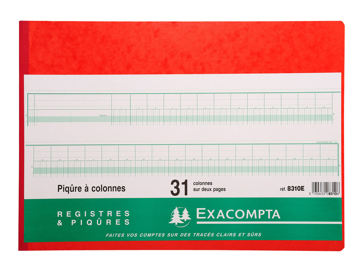 Exacompta - Piqûre comptable - 31 colonnes sur 2 pages - 28 x 38 cm ...